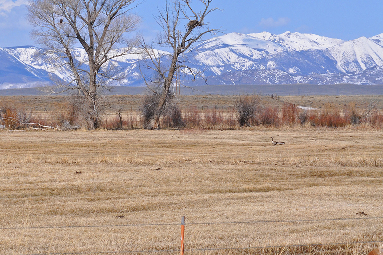 Bird Conservancy of the Rockies | Denver