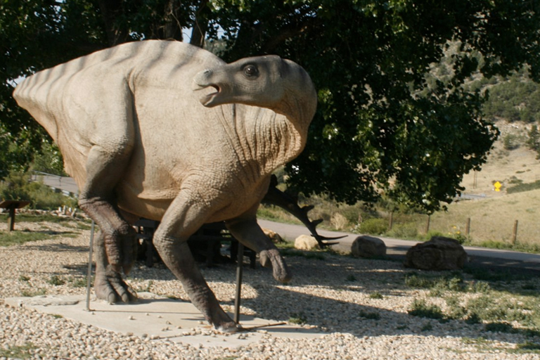 Dinosaur Ridge | Denver