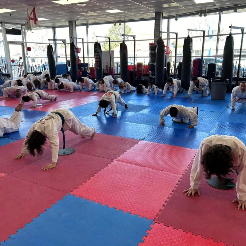 Tiger Kim´s Academy | Denver Kid City Guide